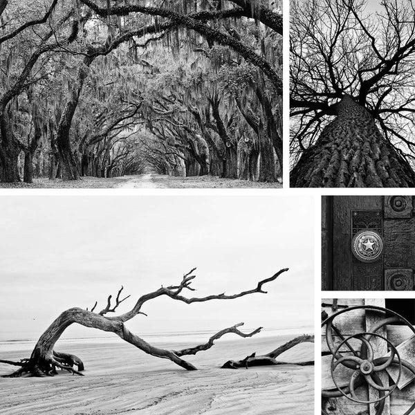 Keith Dotson's Artist Profile Sheet – Keith Dotson Photography