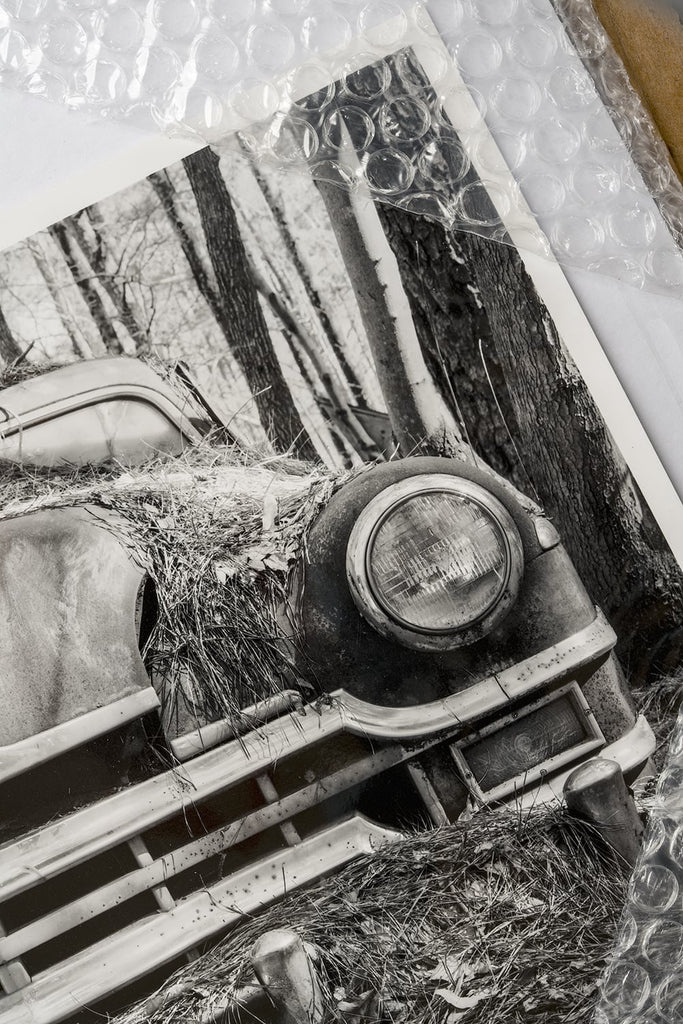 Pride and Joy: Limited Edition Selenium-Toned Black and White ...