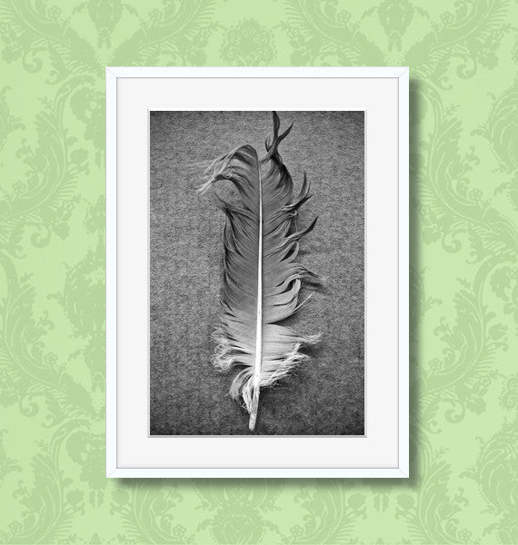 Zen Relaxation Feather Photo Poster 12 x 18 inches (unframed) – Keith ...